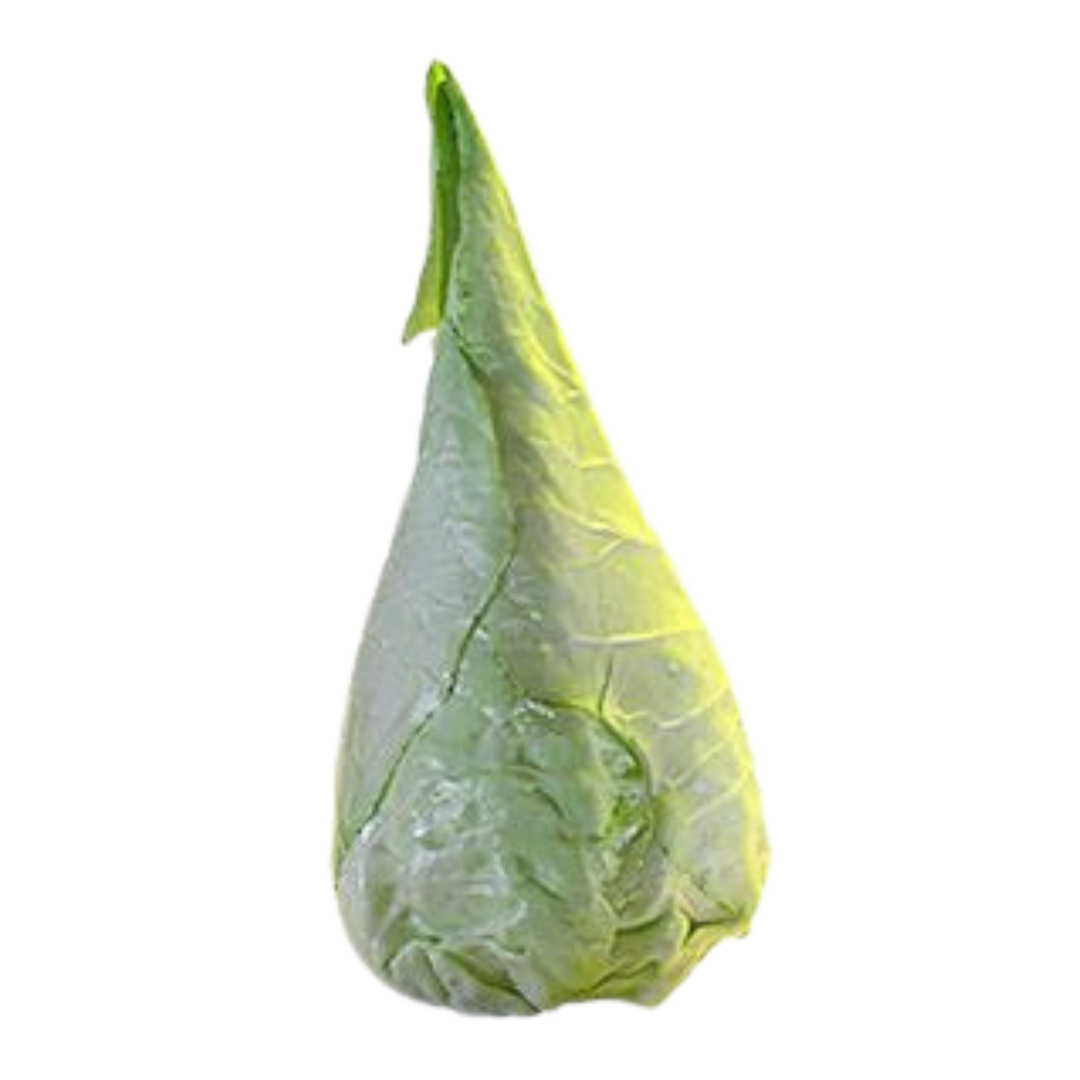 Spitzkraut – Pfluger Mosisgreut